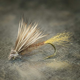 The X Caddis Emerger | Northwest School Of Fly Fishing
