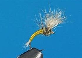 The Great Soft Hackle Fly | Northwest School Of Fly Fishing